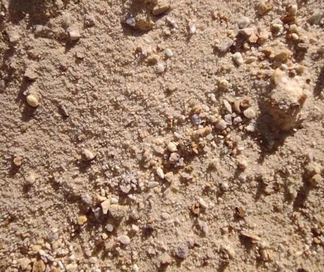 Products - CW Barger